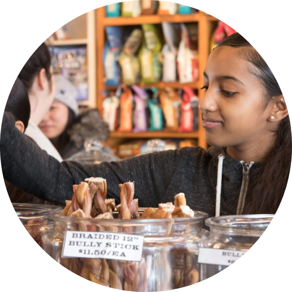 Apprentice Learning – Career education for middle school students